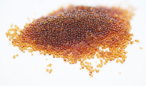 Demystifying Ion Exchange Resins: Understanding Anion and Cation Exchange